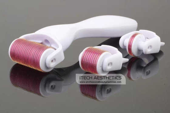 3 In 1 Microneedle Derma Roller For Hair Loss Treatment Hyperpigmentation
