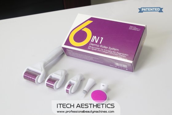 Titanium 6 In 1 Microneedle Derma Roller With Silicone Brush for Skin Care