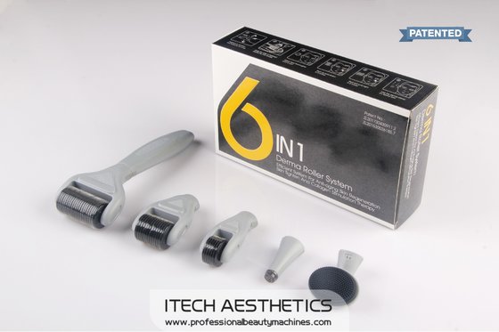 Skin Care  6 In 1 Microneedle Derma Roller With 1200 / 720 / 300 / 12 Needle