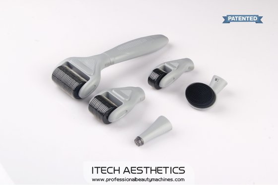 Skin Care  6 In 1 Microneedle Derma Roller With 1200 / 720 / 300 / 12 Needle
