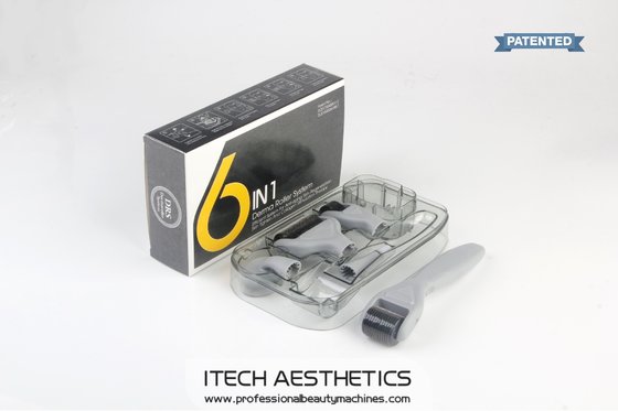 Skin Care  6 In 1 Microneedle Derma Roller With 1200 / 720 / 300 / 12 Needle