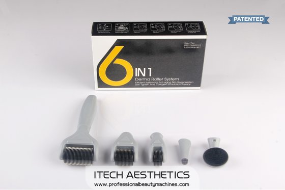 Skin Care  6 In 1 Microneedle Derma Roller With 1200 / 720 / 300 / 12 Needle