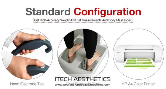 GS6.5B Professional Body Composition Analyzer For Human Body Fat Test