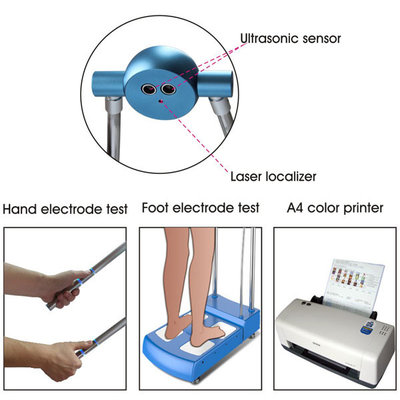 Quantum Bio-Electric Body Composition Analyzer Machine GS6.6 CE Approved