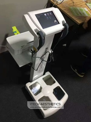 250KG Weight Body Fat Machine , Quantum Magnetic Analyser Machine For Body Composition