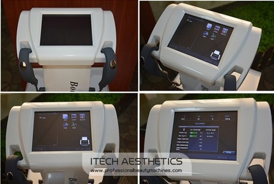 250KG Weight Body Fat Machine , Quantum Magnetic Analyser Machine For Body Composition
