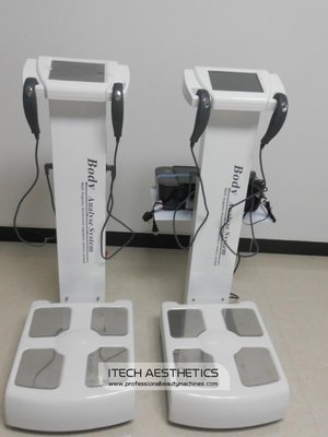 250KG Weight Body Fat Machine , Quantum Magnetic Analyser Machine For Body Composition