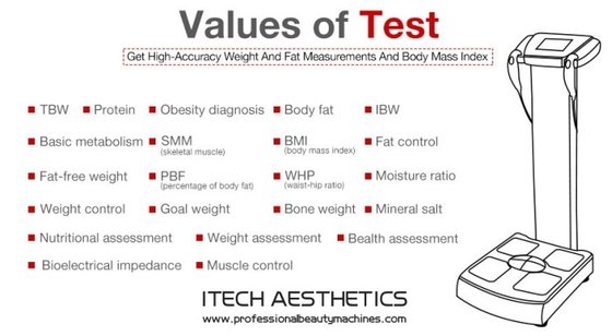 180μA Rated Current Body Composition Analyzer For Human Body Fat Testing