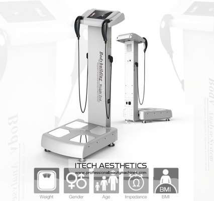250KG Weight Body Fat Machine , Quantum Magnetic Analyser Machine For Body Composition