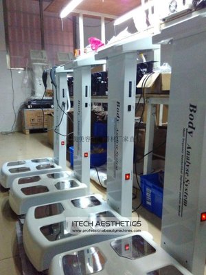 High Precision  Body Composition Analyzer For Weight / Body Fat / Moisture