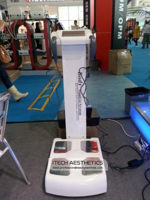 High Precision  Body Composition Analyzer For Weight / Body Fat / Moisture