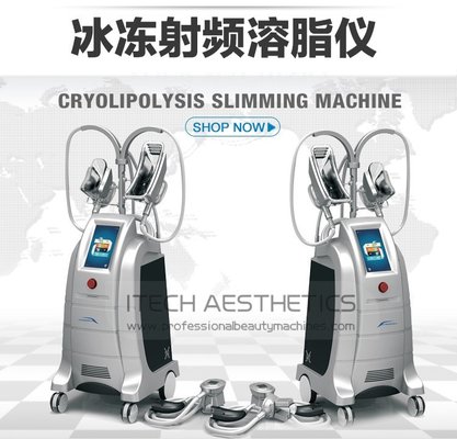 Professional Cryo Fat Freezing Machine Weight Loss Equipment Medical Certificate