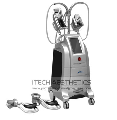 Body Vibration Fat Freezing Reduce Cryotherapy Beauty Machines Etg50-4s