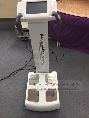 Digital Scale Body Composition Analyzer With Printer For Hospitals / Sports Clubs