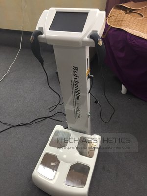 Digital Scale Body Composition Analyzer With Printer For Hospitals / Sports Clubs