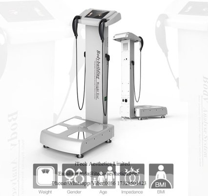 body composition analyzer/Smart portable body fat analyzer for body composition health testing