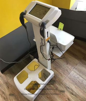 body composition and fat testing equipment/body-shapping and weight-loss/Body Composition Analyzer price