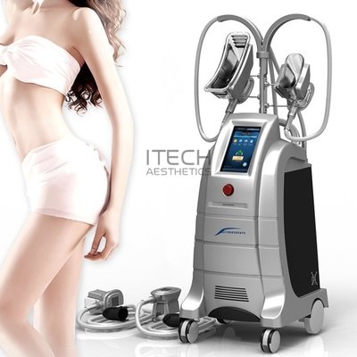 Body Slimming And Shaping Cryolipolysis 2 Handles Fat Freezing Machine Weight Losing Slimming Machine