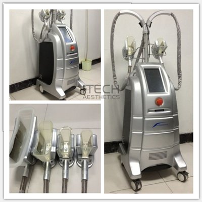 Body Slimming And Shaping Cryolipolysis 2 Handles Fat Freezing Machine Weight Losing Slimming Machine