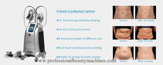 Cryolipolysis Fat Freeze Slimming Machine , Stationary Body Shaping Machine