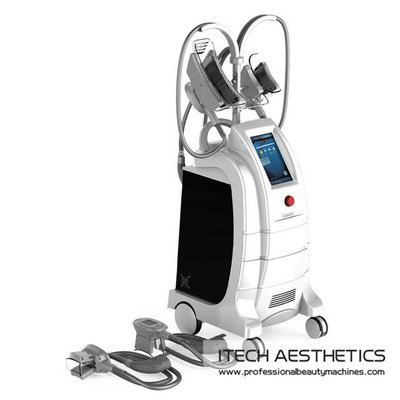 4 Cryo Handles Cryolipolysis Fat Freezing Machine For Weight Reduction CE FDA Approved