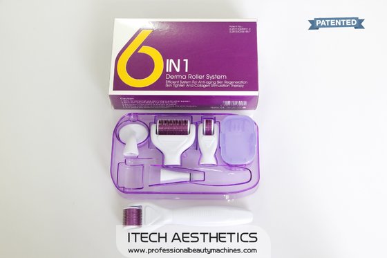 Titanium 6 In 1 Microneedle Derma Roller With Silicone Brush for Skin Care
