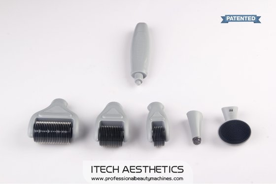 Skin Care  6 In 1 Microneedle Derma Roller With 1200 / 720 / 300 / 12 Needle