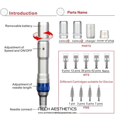 Wireless Derma Pen Professional Beauty Machines Micro Skin Needling 12 Needles