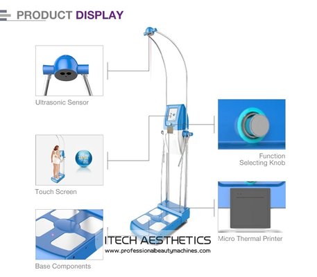 Full Body Fat Percentage Analyzer Machine For Weight And Height Measuring