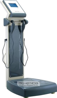 Touch Screen Body Composition Analyzer Machine For Fat And Muscle Analysis