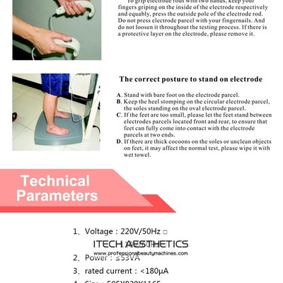 Touch Screen Body Composition Analyzer Machine For Fat And Muscle Analysis
