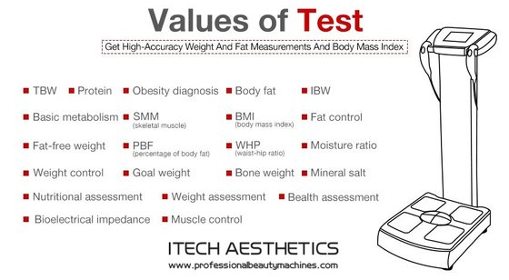GS6.5B Professional Body Composition Analyzer For Human Body Fat Test