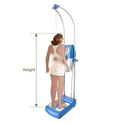 Quantum Bio-Electric Body Composition Analyzer Machine GS6.6 CE Approved
