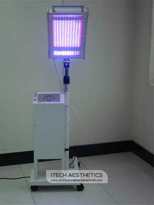 Blue / Red  PDT LED Light Therapy Machine For Skin Care Anti Aging