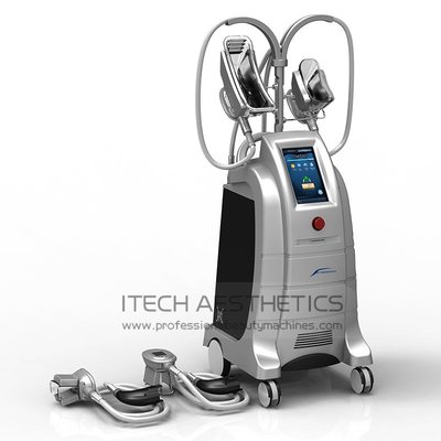 Professional Cryo Fat Freezing Machine Weight Loss Equipment Medical Certificate
