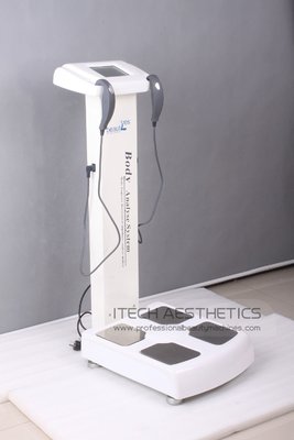 Multi - Frequency Body Composition Analyzer Health Beauty Equipment / Accurate Human Body Fat Testing Machine