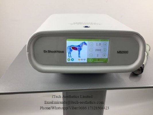 Mini Shock Wave Pain Relief Shockwave/Pain Reduction Machine/Cellulite Reduction Shock Wave Device