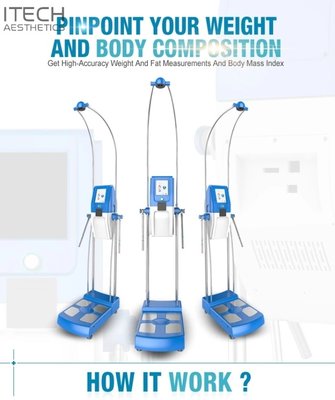 Professional Body Composition Meter Body Element Fat Analyzer With Printer