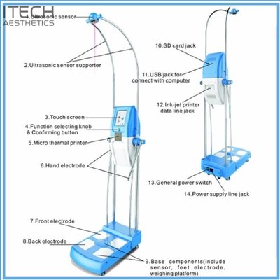 GS6.6 Human Body Composition Analyzer Bodybuilding Test 53VA Power