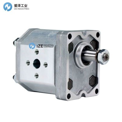 MARZOCCHI Pump ALP3 Series Example ALP3A-D-94-FG
