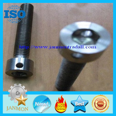 High Strength Hex Socket Bolt,High tensile hex socket bolt,High tensile allen bolt,Grade 8.8 hex socket bolt,Grade 10.9