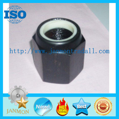 High-strength Nylon Lock Nut,Grade 8 black hex nut,Hex nylon nut,Hex insert nylon nut,Hexagonal nylon insert nut,hex nut
