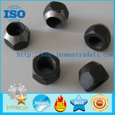 Automotive tire nut,Automotive tyre nuts,Automotive nuts Automotive cap nuts,Wheel lug nuts,lug nuts,Auto nuts,Auto nut