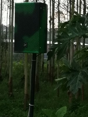 Stainless steel screw IP66 certificate professional Outdoor all-weather waterproof passive 8/10/12''speaker