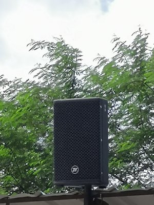 Stainless steel screw IP66 certificate professional Outdoor all-weather waterproof passive 8/10/12''speaker