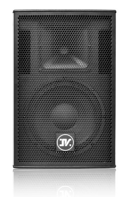 Professional full frequency passive 10 inch speaker for School, conference room, office area, etc.