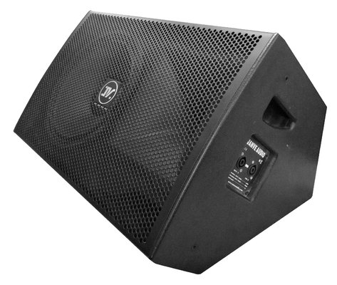 C5215M Professional  15" inch speaker 15 inch monitor speaker