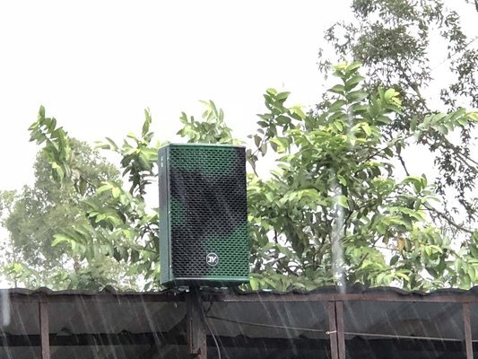 Stainless steel screw IP66 certificate professional Outdoor all-weather waterproof passive 8/10/12''speaker