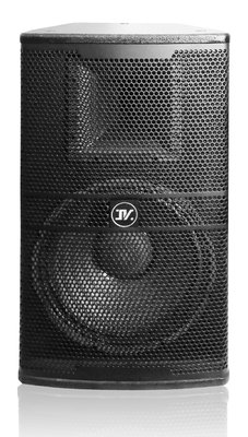 Professional full frequency passive 12 inch speaker for School, conference room, office area, etc.