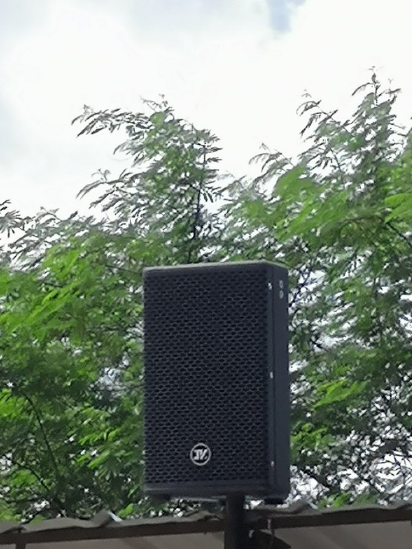 Stainless steel screw IP66 certificate professional Outdoor all-weather waterproof passive 8/10/12''speaker